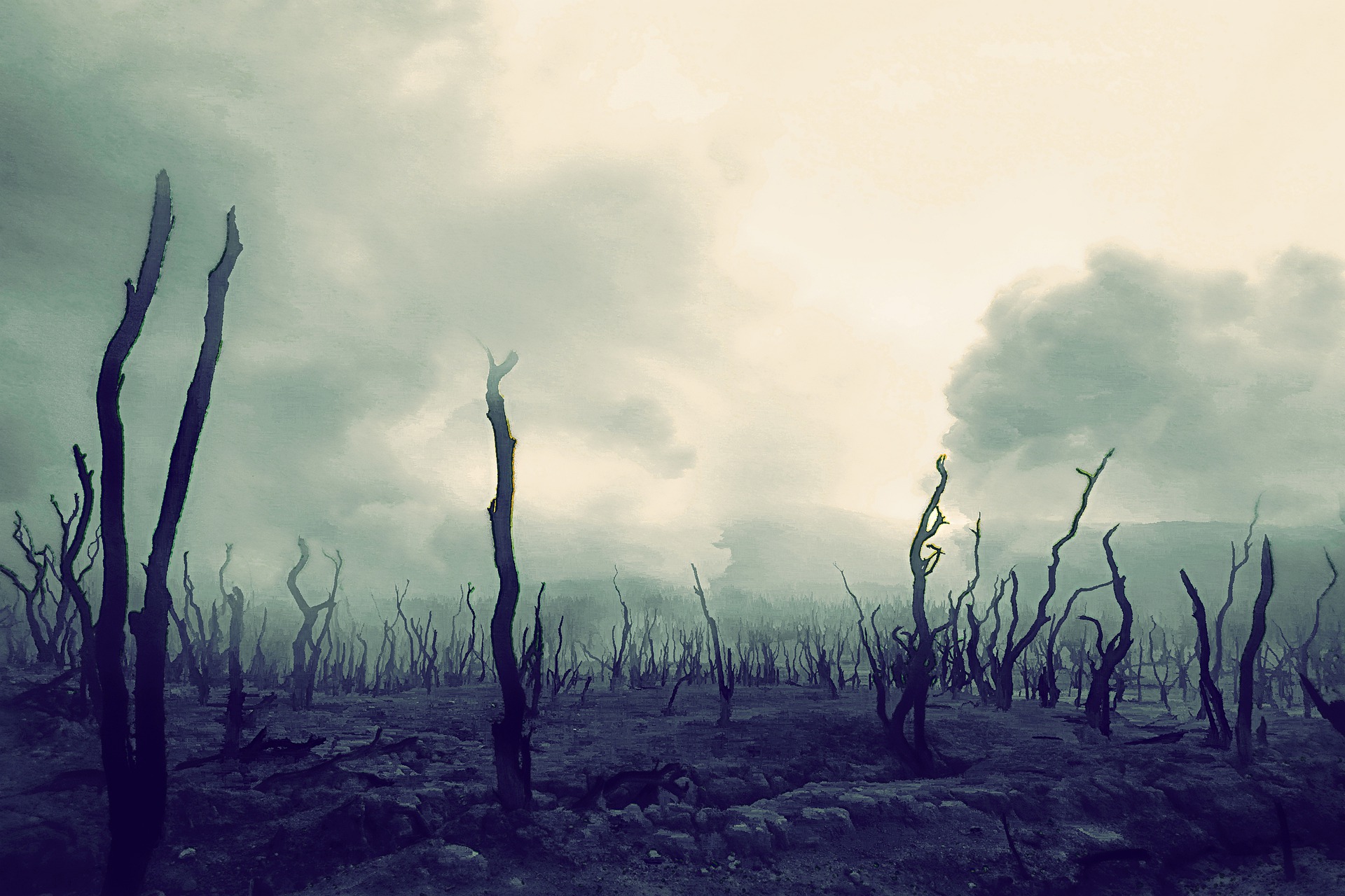 Welcome to the End Times: 10 Signs You're Trapped in a Post-Apocalyptic ...